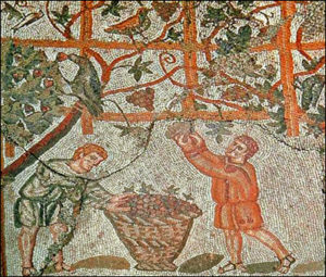 What Kinds of Jobs Could You Have in Ancient Rome?