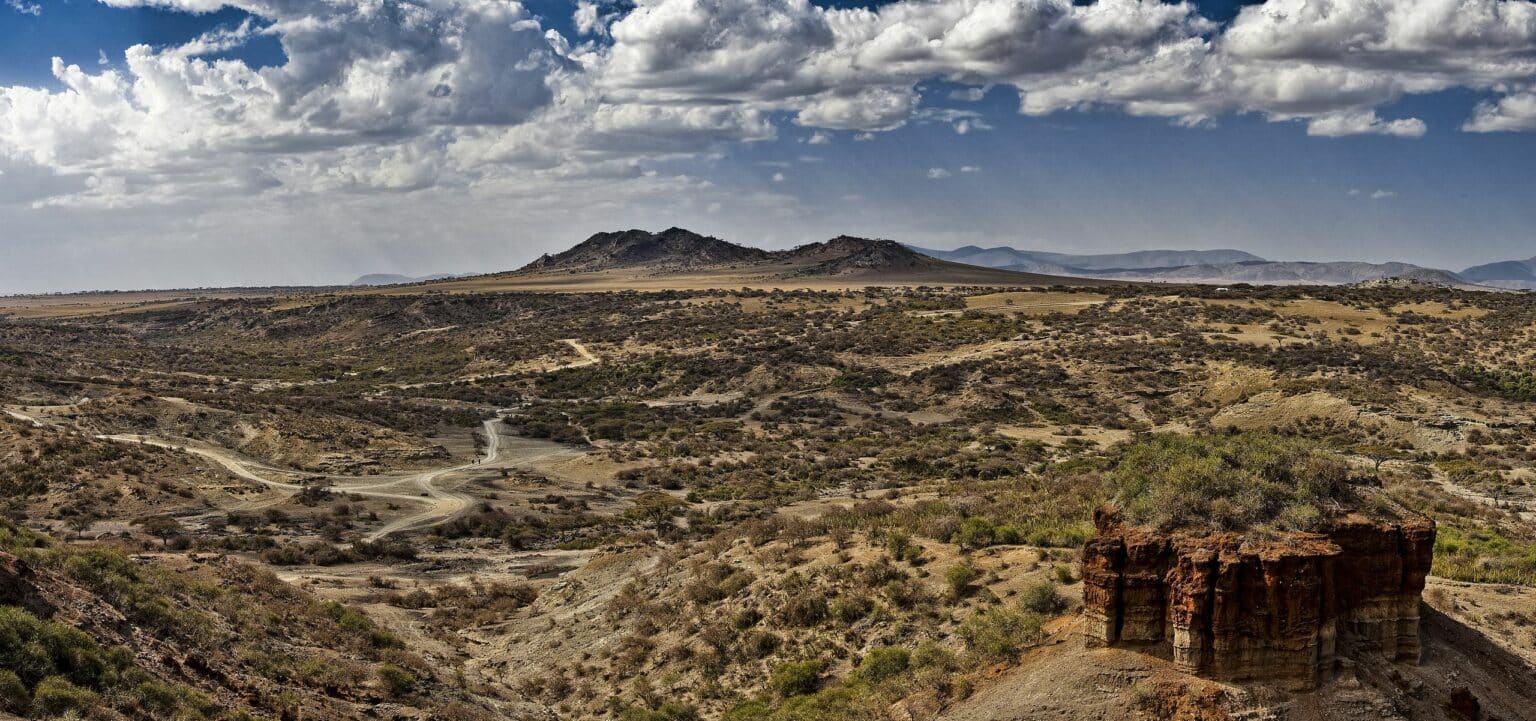 11 Archaeological Finds That Revolutionized How We View History