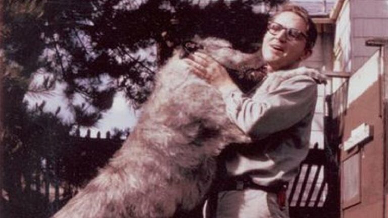 The strange legacy of the Bigfoot Hunter, Grover Krantz