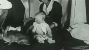 The Little Albert Experiment and Unethical Science