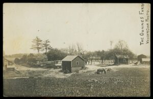 Belle Gunness: The disturbing life of the lady Bluebeard