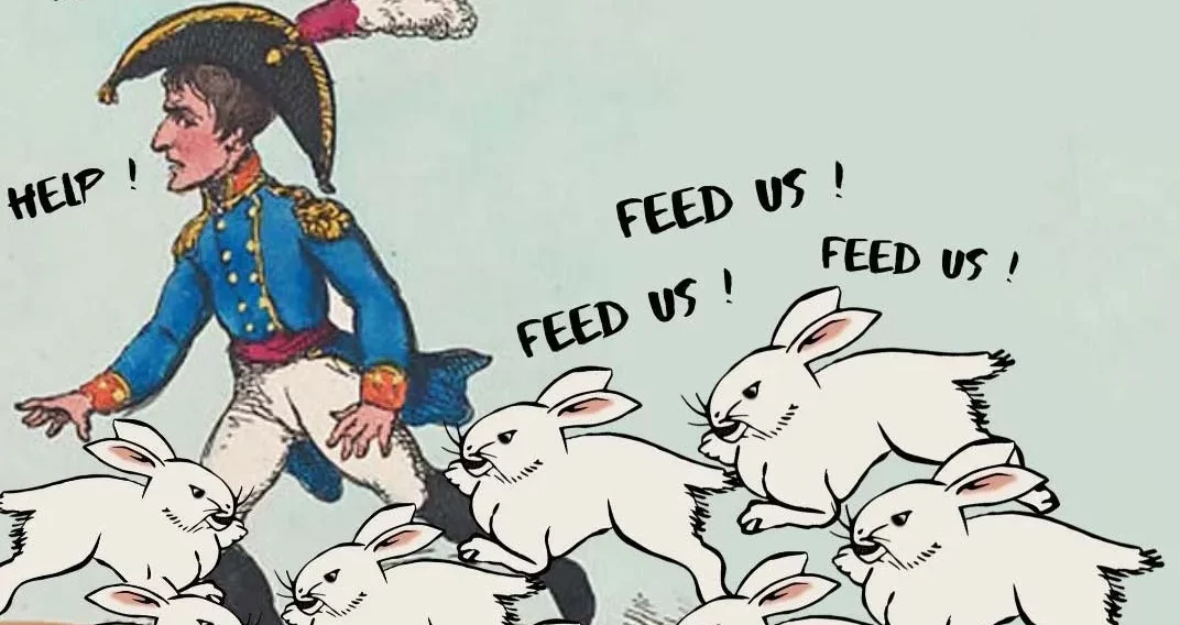 Napoleon versus the horde of “killer” Bunny Rabbits