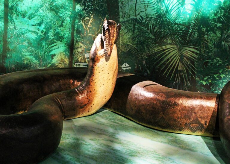 5 Animals That Were Much Larger in the Prehistoric Era