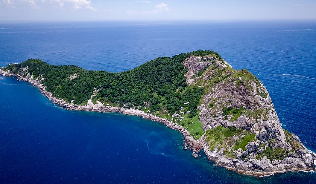 Snake Island: One of the Most Dangerous Places on Earth