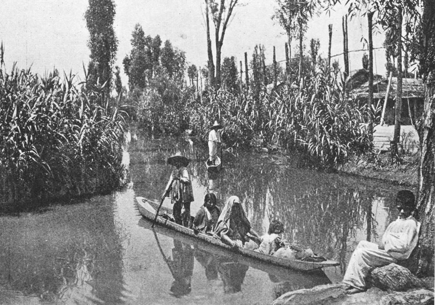 Chinampas: The “Floating Gardens” of the 14th Century Aztecs