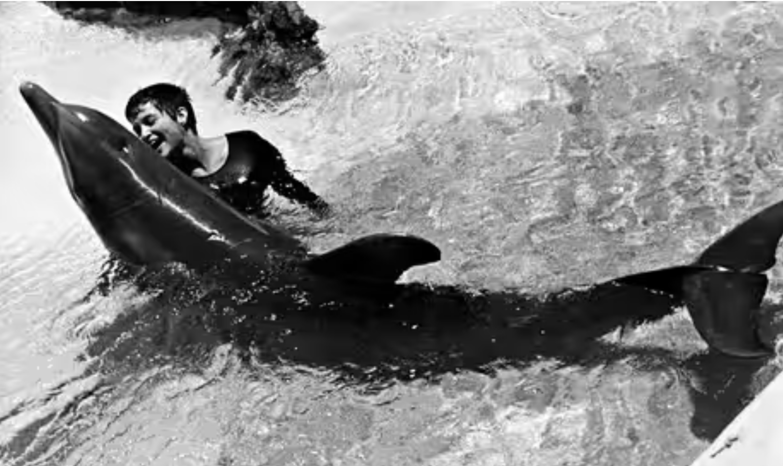 Margaret Howe Lovatt: The Woman Who Fell in Love with a Dolphin
