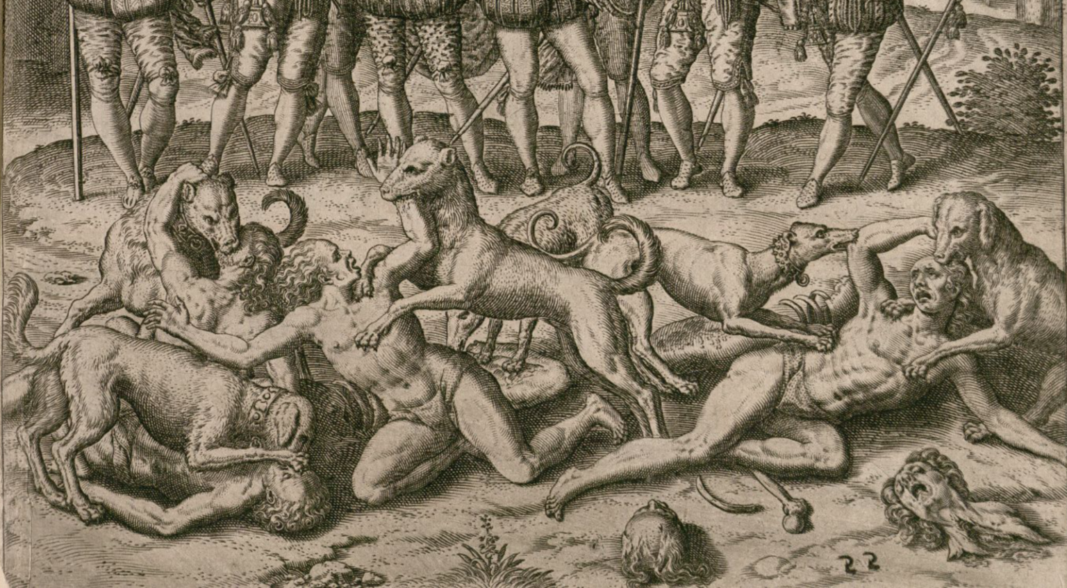 Unveiling the Violent History of Spanish War Dogs