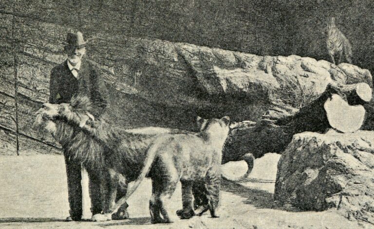 The Tragic and Exploitative History of Human Zoos