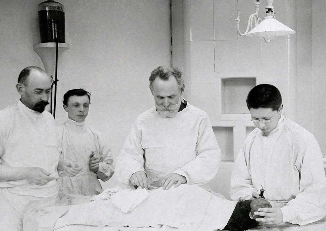 Pavlov’s Dog: The Power of Classical Conditioning