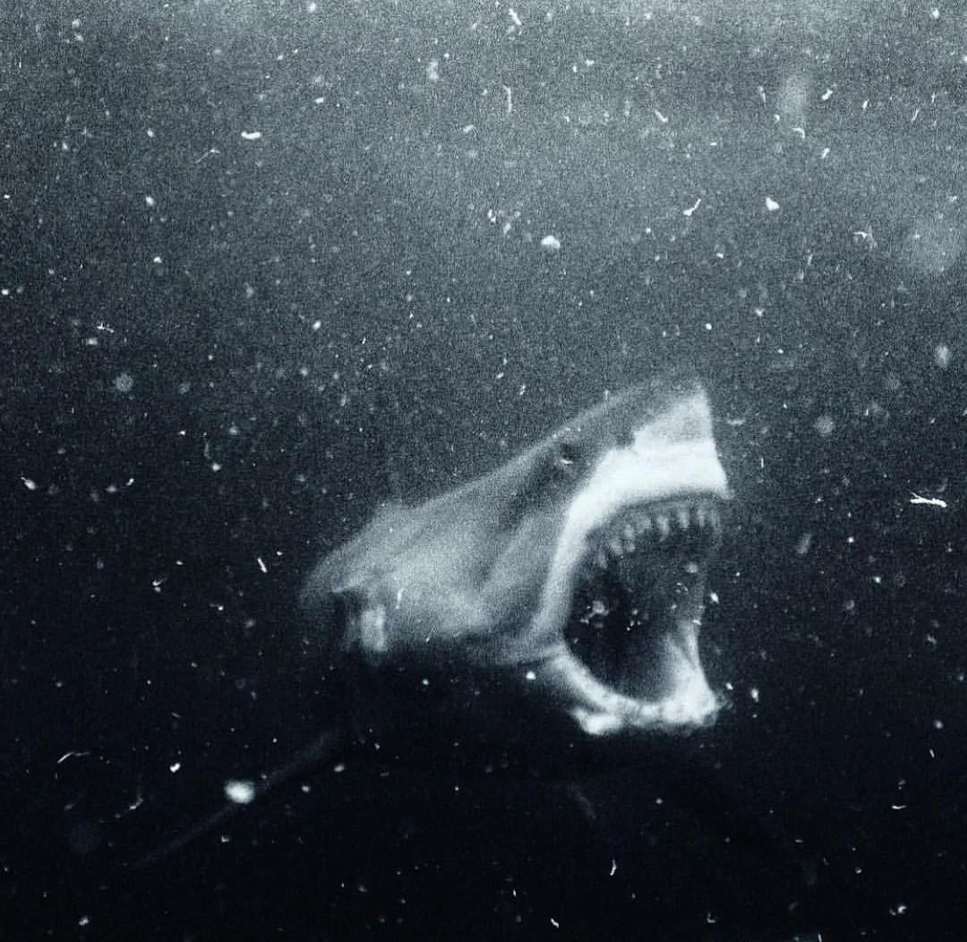 81 of the creepiest photos ever taken