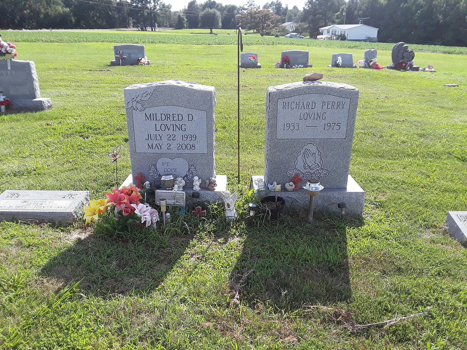 Loving v. Virginia: A Landmark Struggle for Love and Equality
