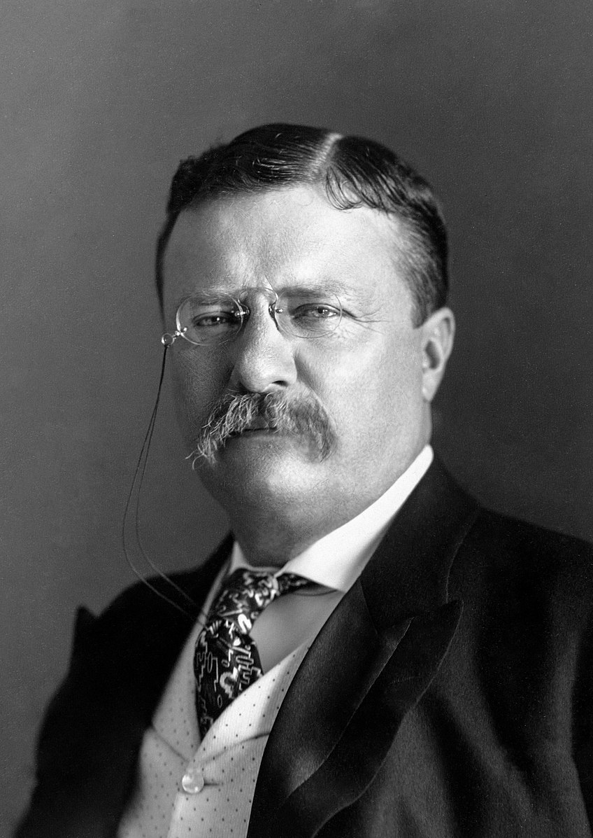 Teddy Roosevelt: President, World Traveler, and Boxer
