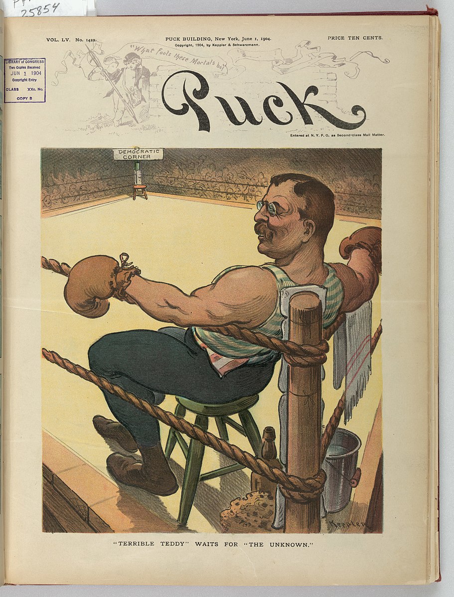 Teddy Roosevelt: President, World Traveler, and Boxer