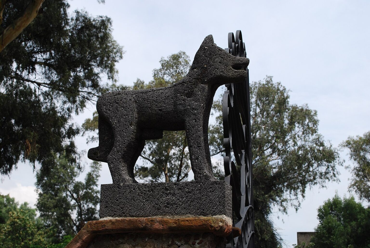 Ancient, Hairless Dog of the Gods: the Xolo Dog
