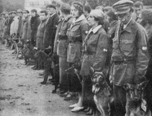 How Soviet Anti-Tank Dogs Impacted World War II