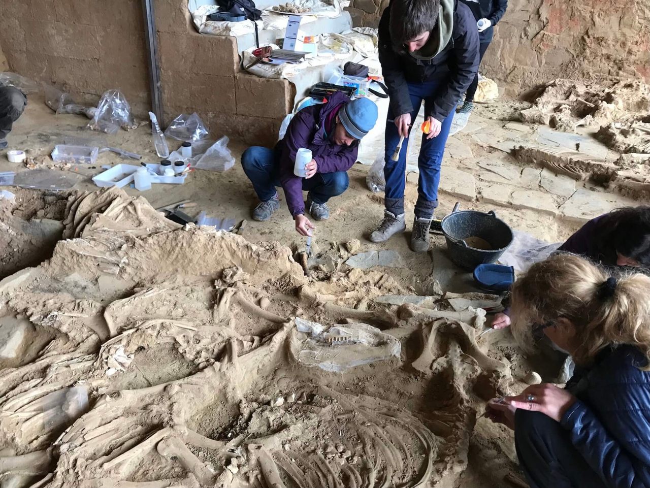 The Most Important Archaeological Discoveries of 2023
