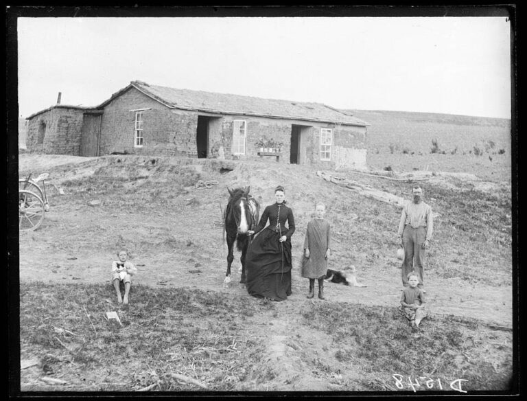 50 rare photos of daily life in the 19th century