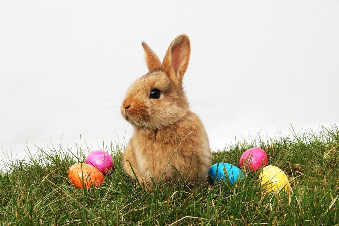 The Surprising Examples of Easter’s Pagan Roots