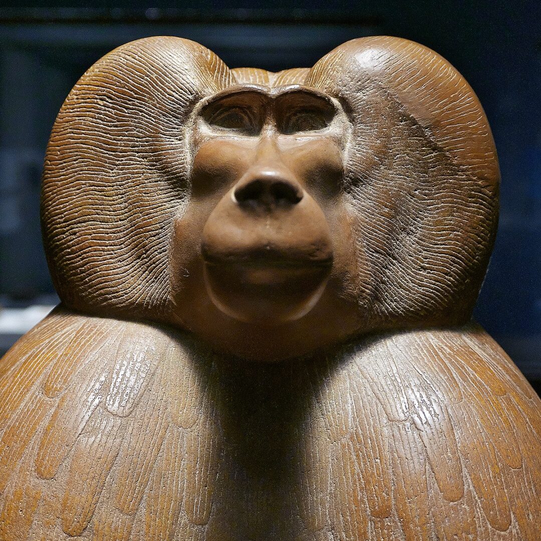 The Many Roles and Powers of the Egyptian God, Thoth