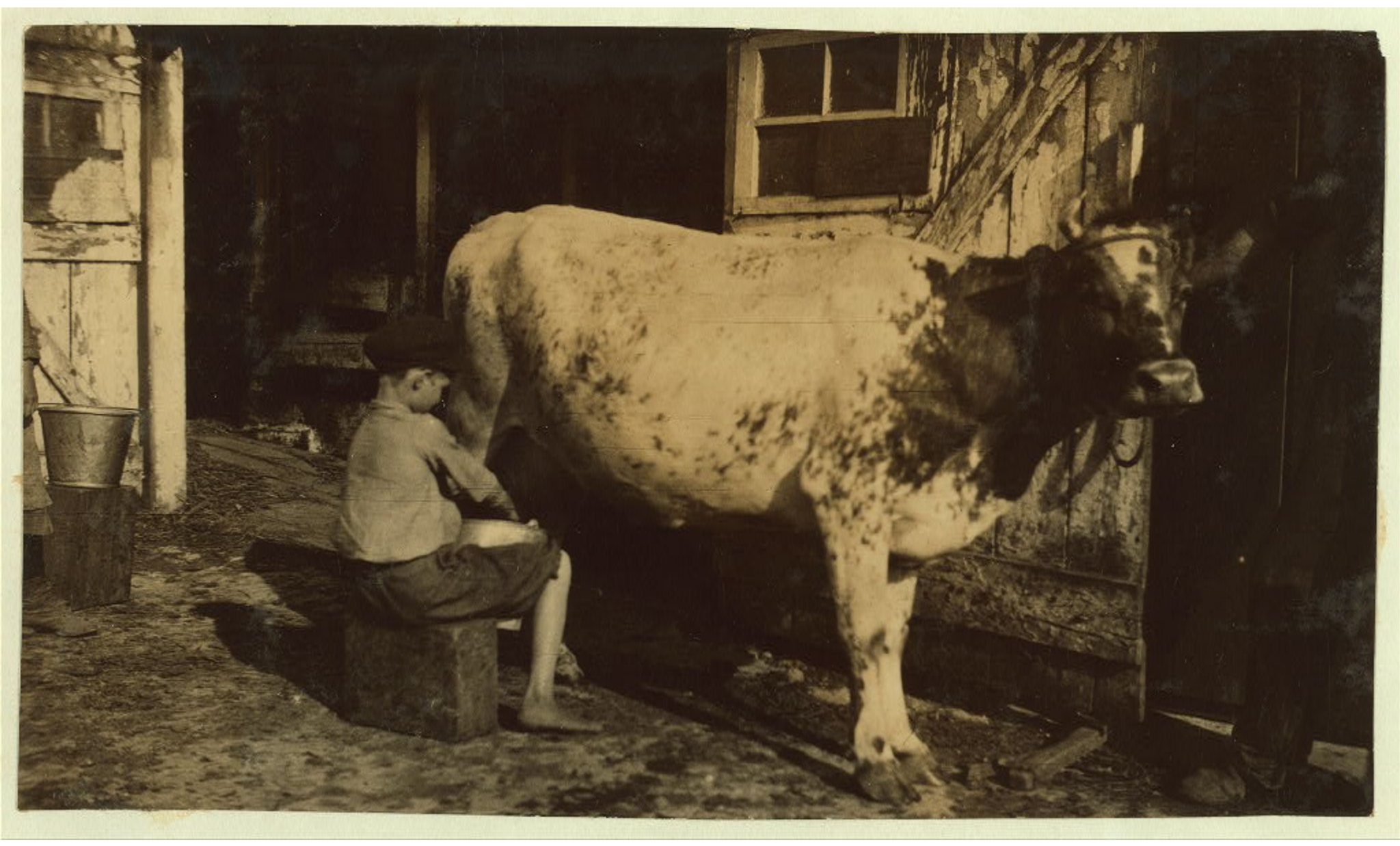 50 Haunting Photos of Child Labor in the Early 1900s