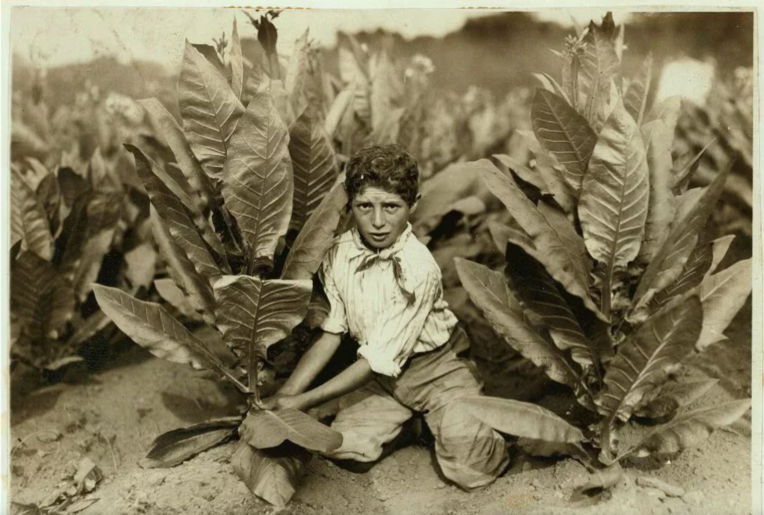 50 Haunting Photos of Child Labor in the Early 1900s