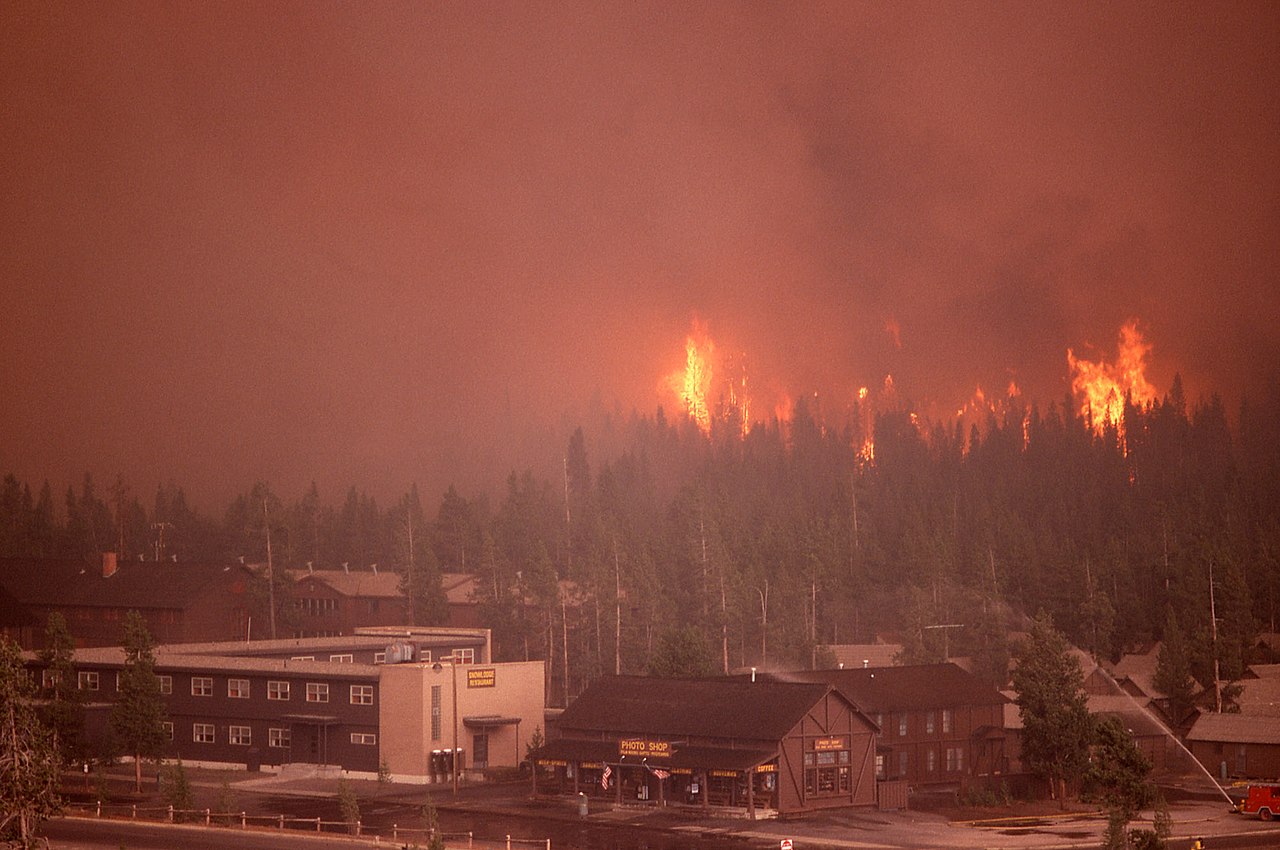 11 of the deadliest wildfires in history